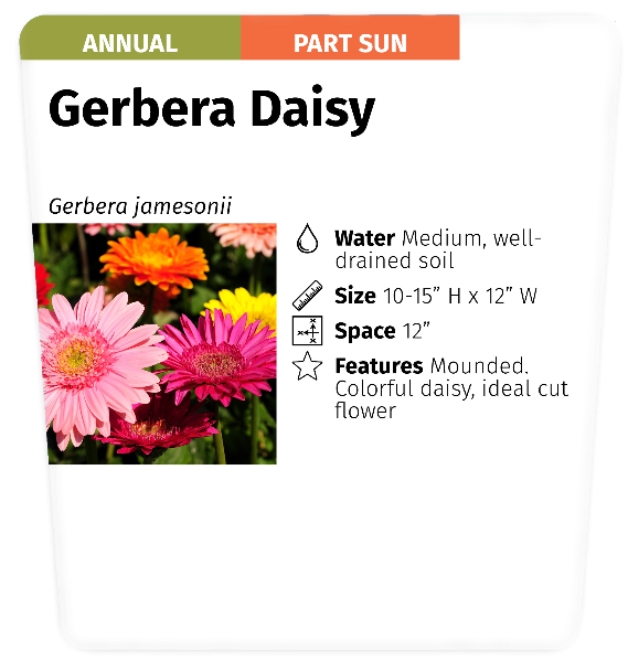 Horticulture Labels | Customize Your Plant Labels Today!