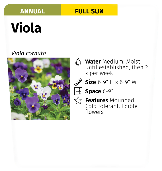Horticulture Labels | Customize Your Plant Labels Today!